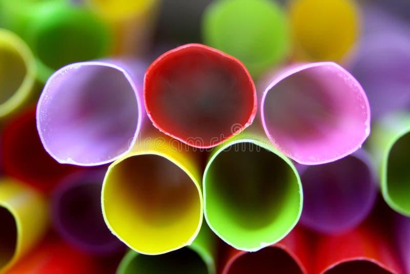 Hole Pattern in Bark stock image. Image of perforated - 71199521