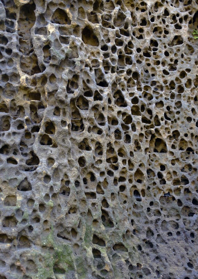 Hole rock wall in forest stock photo. Image of beautiful - 71590782