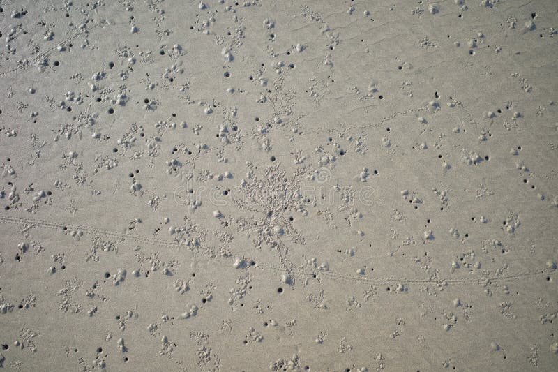 Hole in the Sand on the Beach during Low Tide Stock Photo - Image of ...