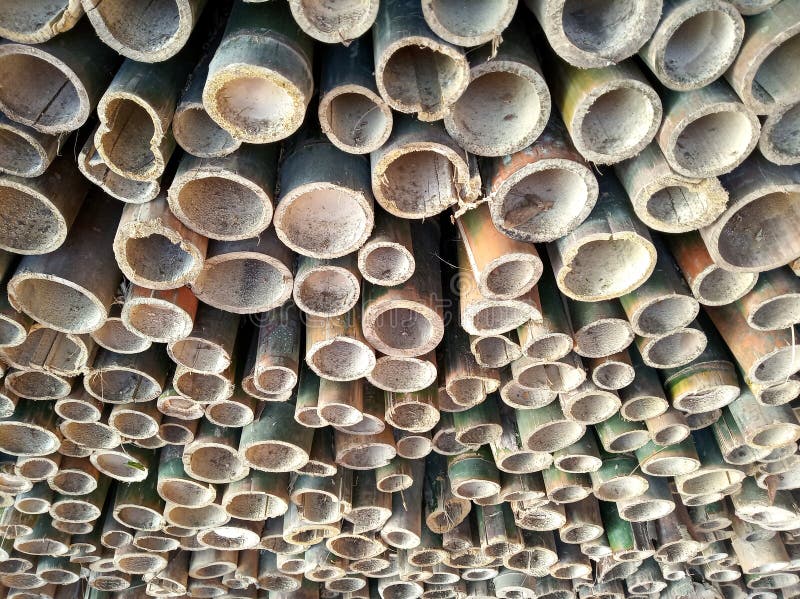 Holes of Cutting Bamboo Abstract Background. Stock Image - Image of ...