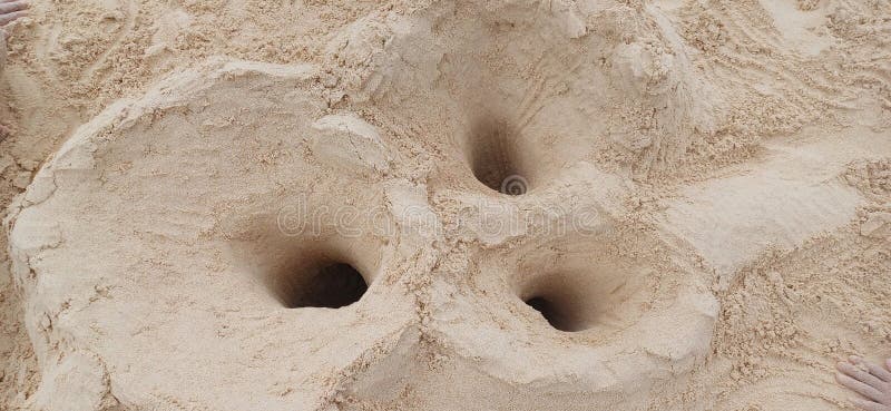 The Holes on the Sand of the Beach Stock Photo - Image of temple ...