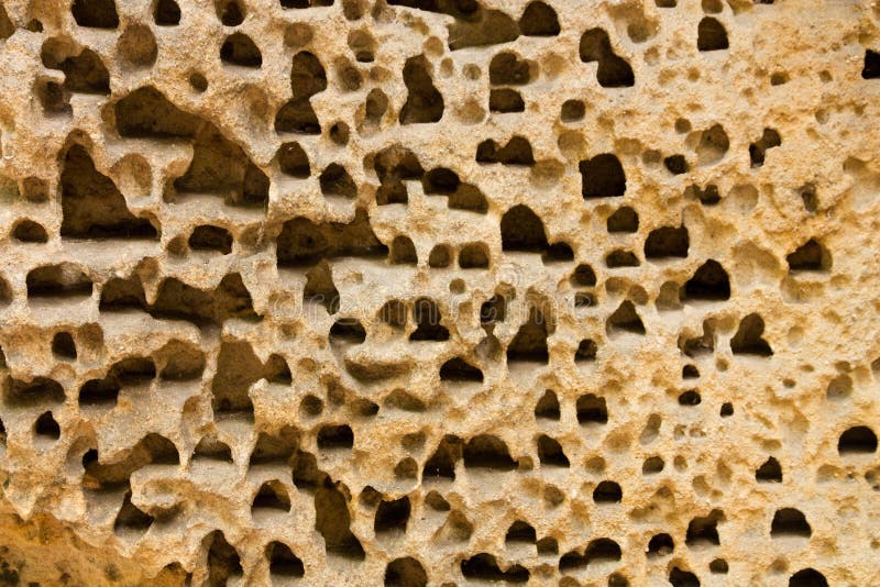 Holes in sandstone stock photo. Image of color, gritstone - 36366122