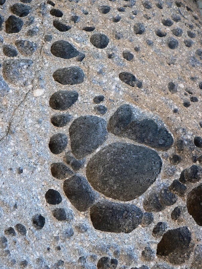 Holey stone at the beach stock photo. Image of geology - 40034972