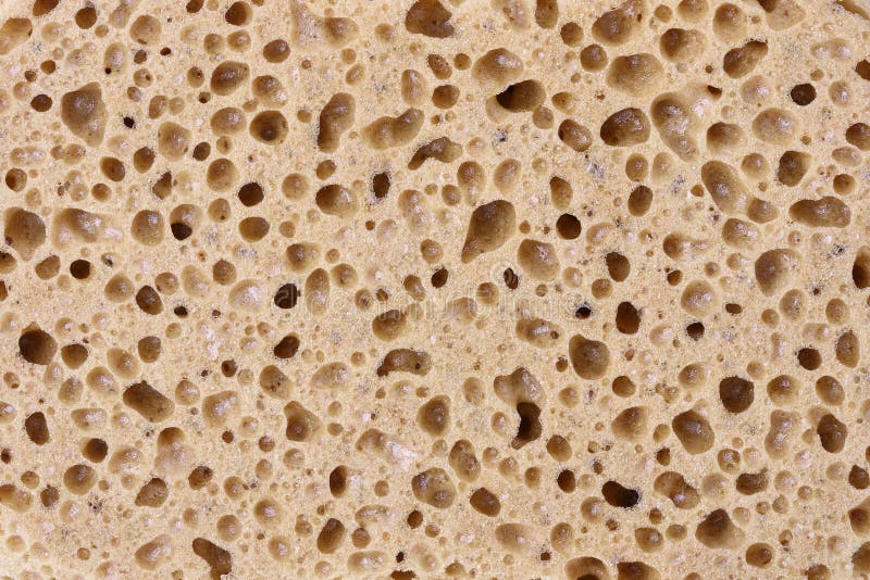 Holey texture stock photo. Image of wipe, healthy, grain - 4809056