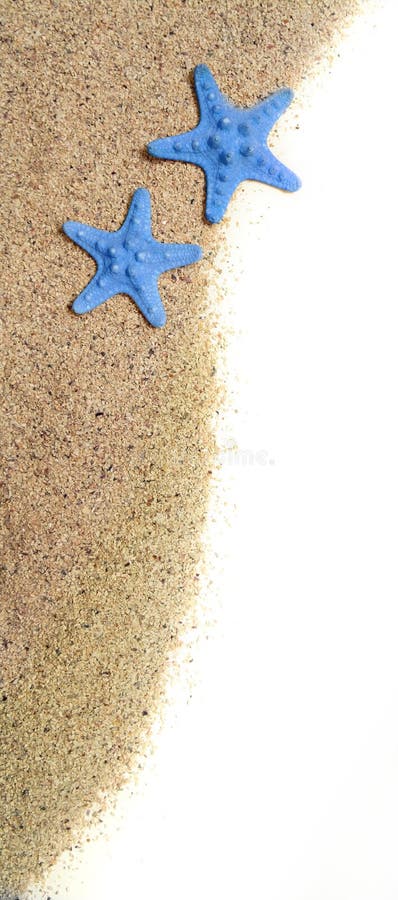 Seashells collection stock image. Image of collection - 4635813