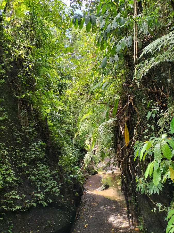 Holiday Bali Love Like Jungle Happy Stock Photo - Image of love, jungle ...