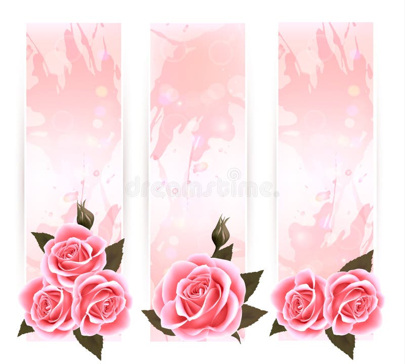 Holiday Banners with Pink Beautiful Roses. Stock Vector - Illustration ...