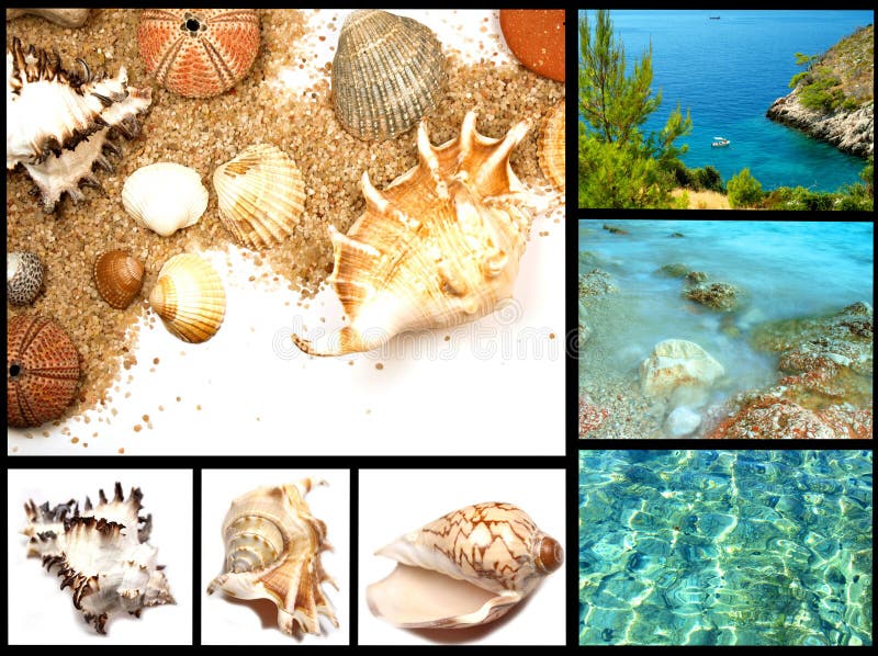 Summer Beach Collage stock photo. Image of reeds, beach - 4107518