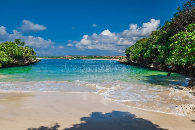 Holiday Beach with Tropical Trees, Sand and Blue Ocean Stock Image ...