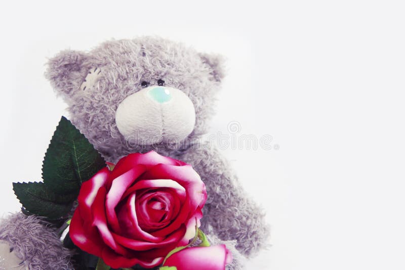 Holiday Card with Soft Toy Bear and Red Rose Stock Image - Image of ...