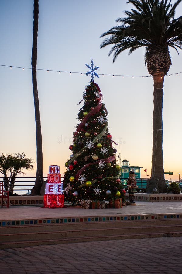 1,724 Beach Christmas Lights Photos - Free & Royalty-Free Stock Photos from Dreamstime