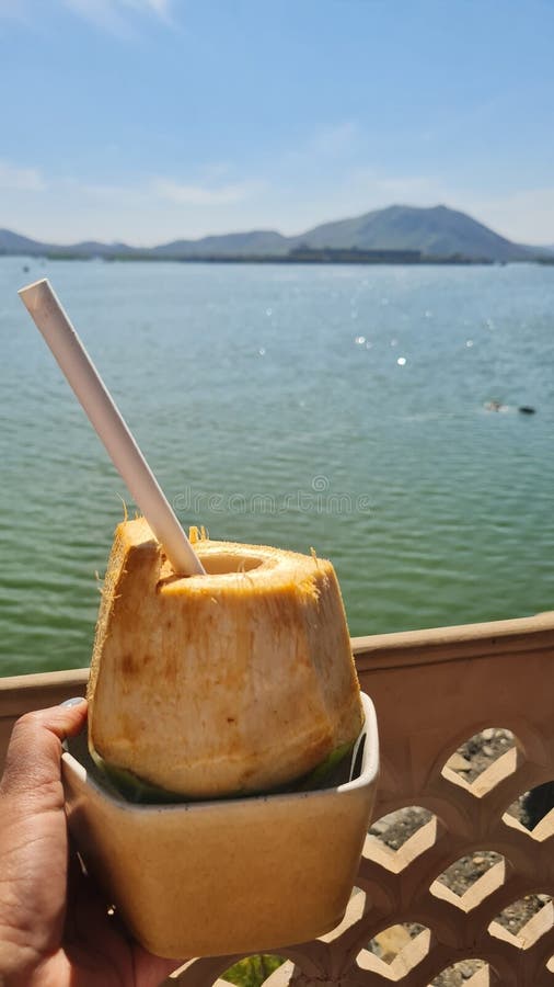 Holiday View and Coconut in Hand Stock Image - Image of peace, holiday ...