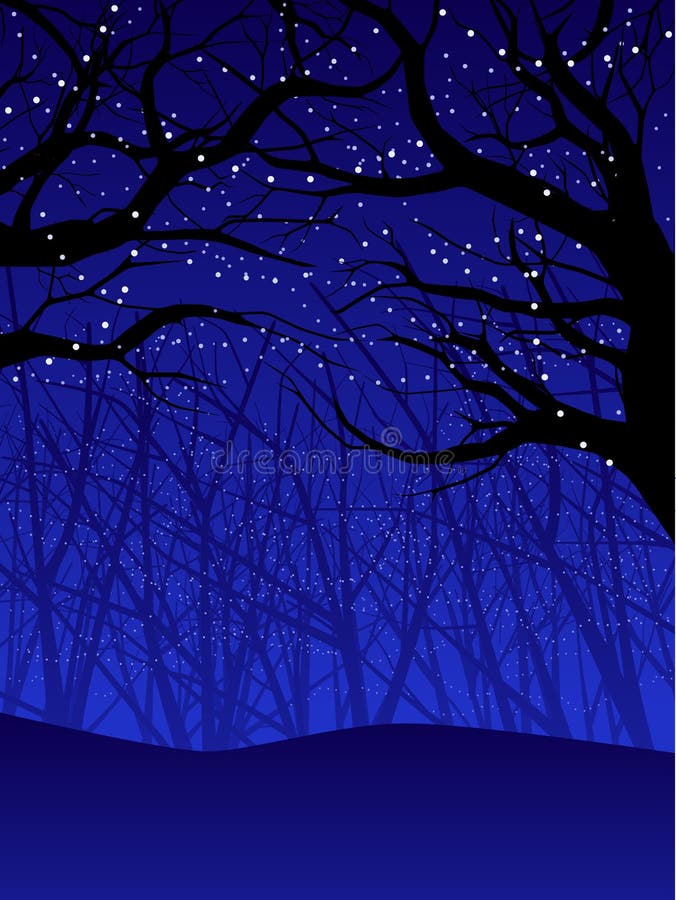Lit forest canopy at night stock vector. Illustration of backlit - 16520088