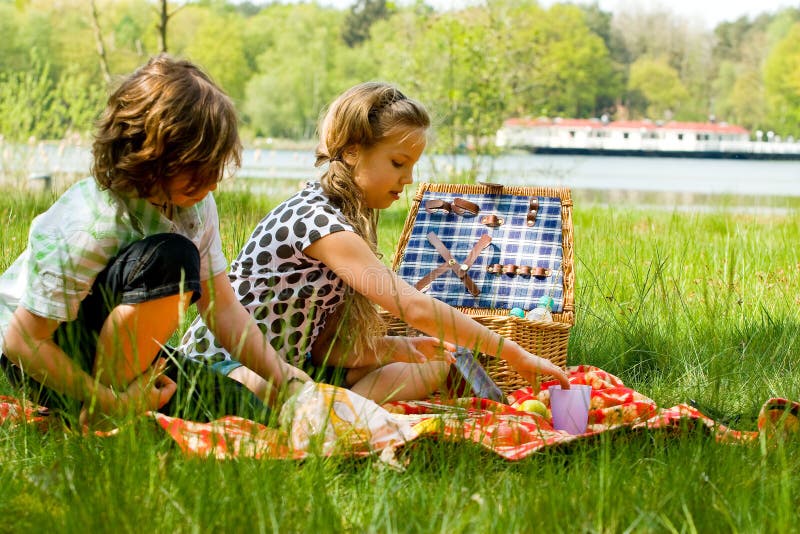 Picnic fun stock image. Image of meal, romance, park, child - 5179743