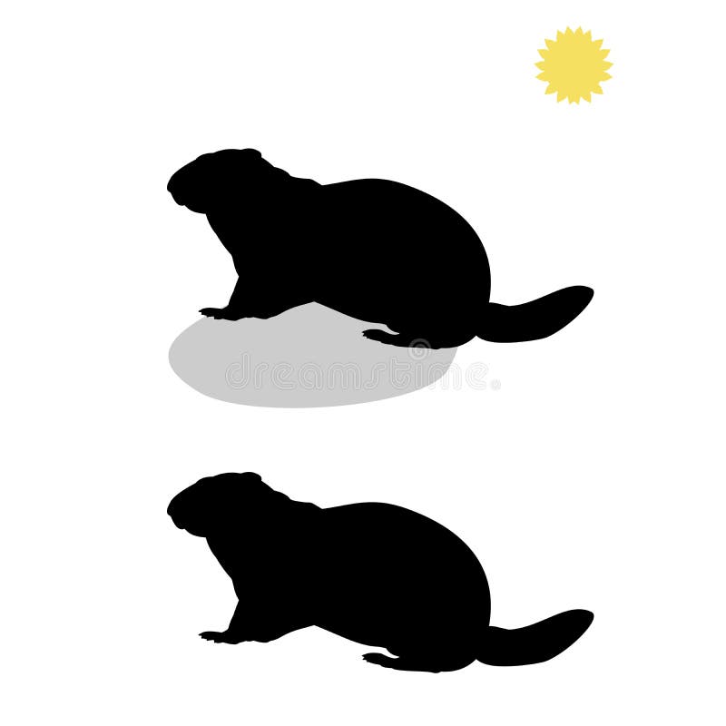 Holiday Groundhog Day. Falling Shadow Prediction of Spring Stock ...