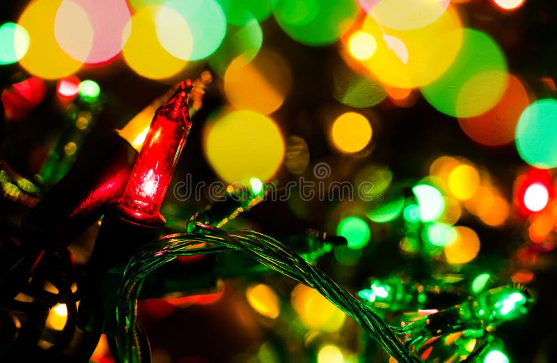 Fall cornucopia stock photo. Image of abundance, festive - 16201018