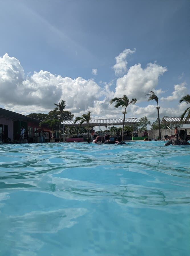 Holiday people pool stock image. Image of tree, wave - 221329255