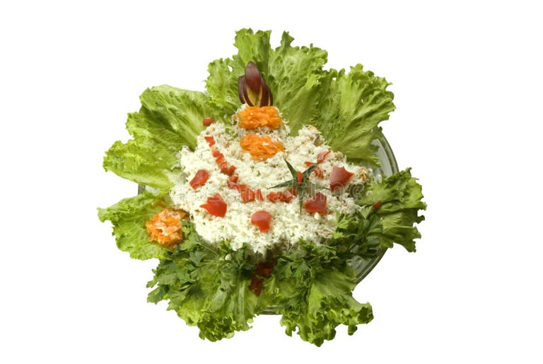 Holiday salad stock photo. Image of dinner, dish, holiday - 12634302