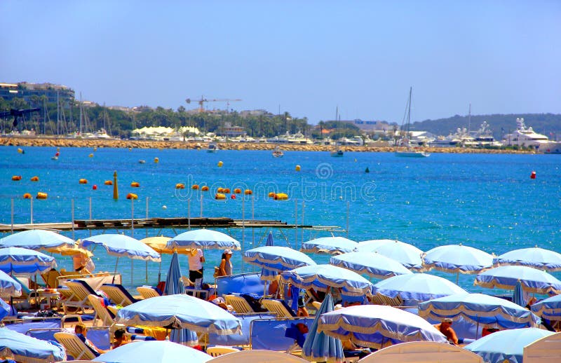 Holiday at sea stock photo. Image of fitness, chair, coast - 20462110