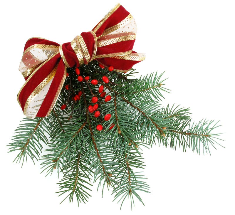 Holiday Sprig stock image. Image of spruce, branch, twig - 17237411