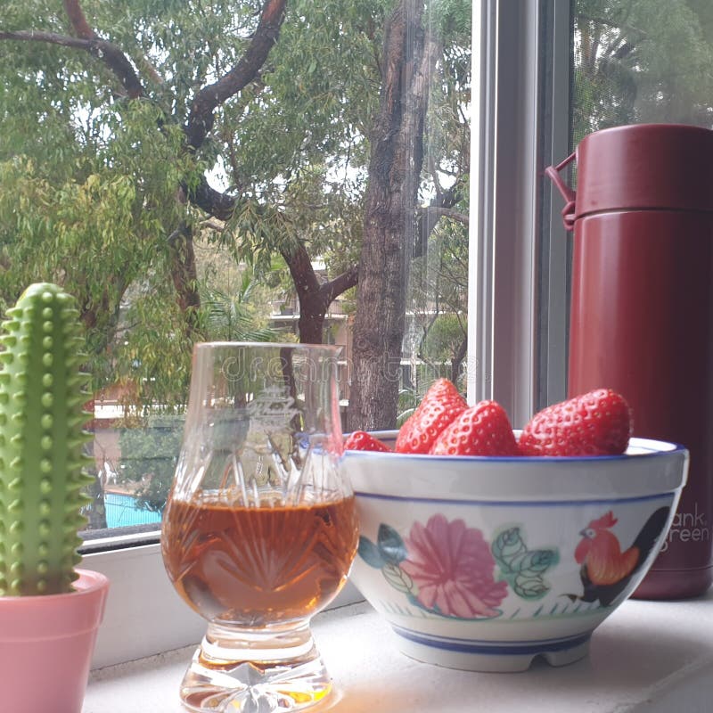 Holiday Strawberry Cactus Tea Stock Image - Image of holiday, food ...