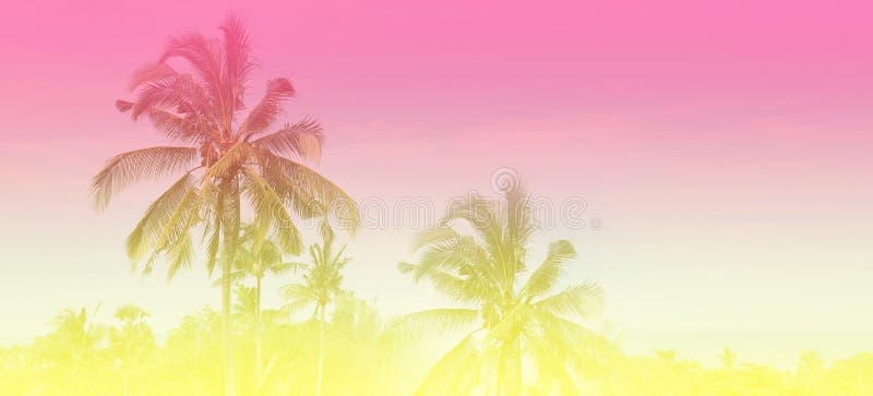 Summer with Colorful Theme As Palm Trees Background As Texture Frame ...