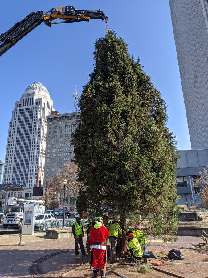 Holiday tree on a crane editorial stock image. Image of santa - 164816599