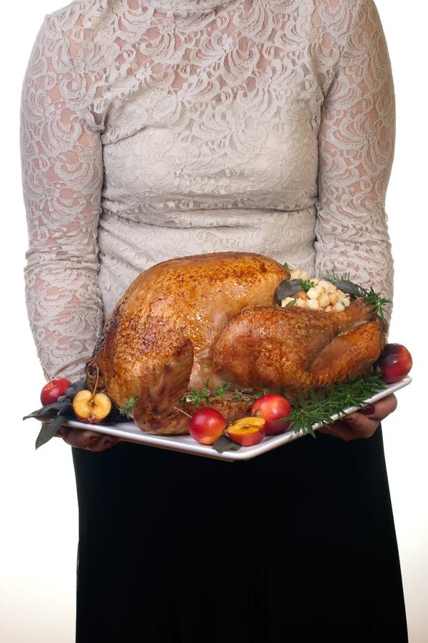 Holiday turkey stock photo. Image of tray, golden, rosemary - 11199944