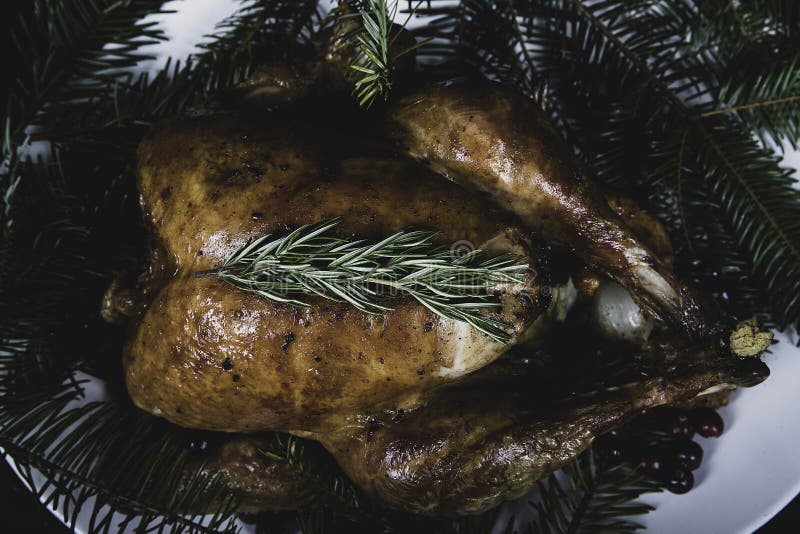 Holiday Turkey Dinner Garnished with Fresh Herbs Stock Photo - Image of ...