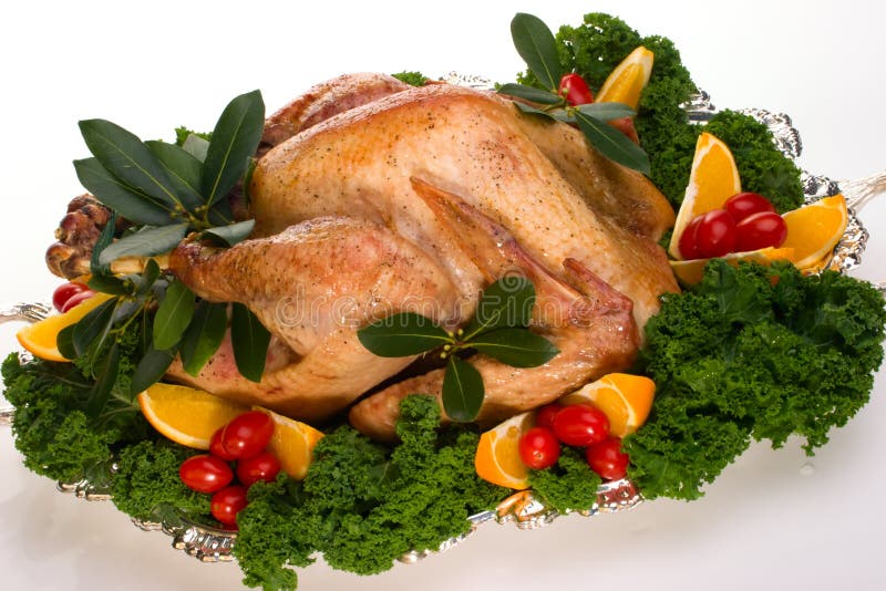 Turkey stock illustration. Illustration of farm, bird - 9942013