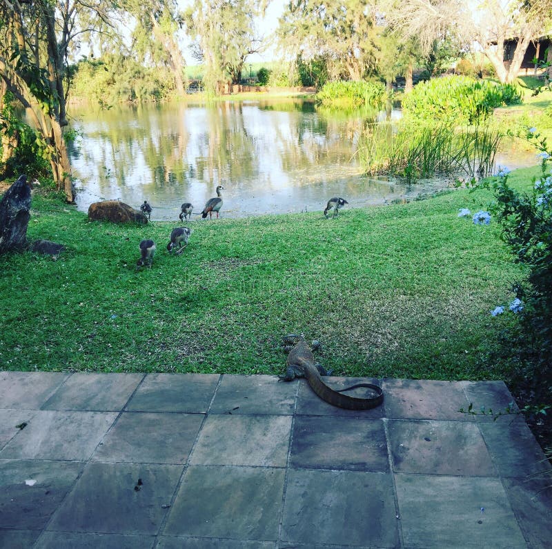 A holiday view stock image. Image of view, holidayhouse - 107809055