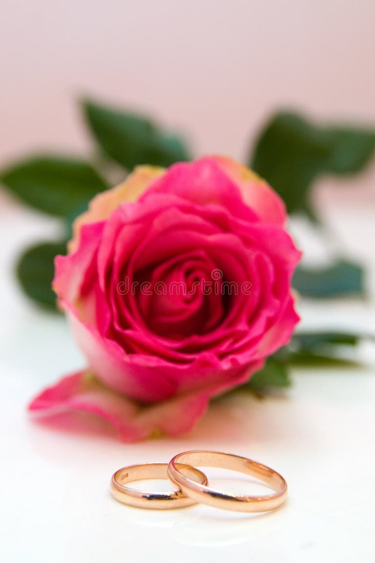 559 Womens Wedding Rings Australia Stock Photos - Free & Royalty-Free ...