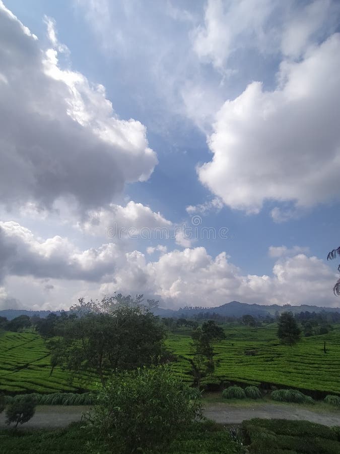 Holidays To Hilly Areas are Indeed Very Cool and Refreshing Stock Image ...