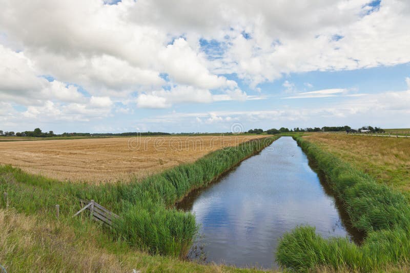 Country Road between Two Ditches Stock Photo - Image of grass, autumn ...