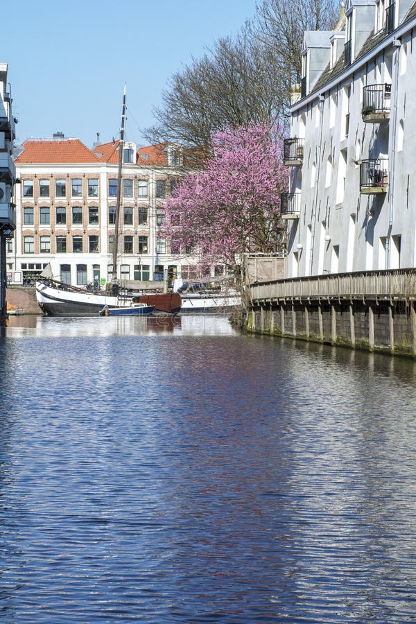 Holland River with Small Boat and Cherry-tree in the Spring Stock Image ...