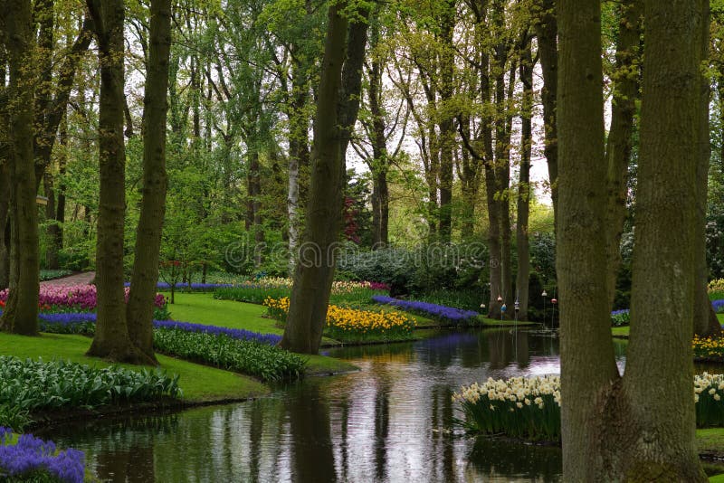 Holland in spring stock photo. Image of amsterdam, dutch - 14289392