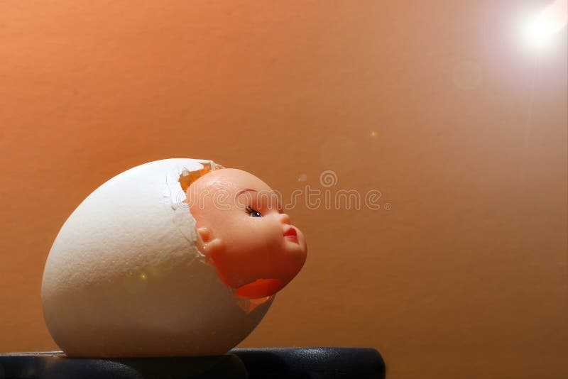 Ei Hoofd Voorraadbeelden - Download 6,433 Royalty Vrije Foto's