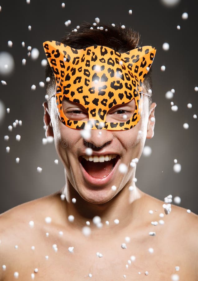 Holliday Leopard Mask stock image. Image of snow, happy - 62967491