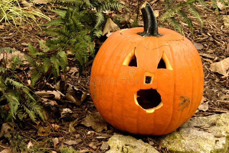 Hollo stock image. Image of conflicted, halloween, holiday - 3483281