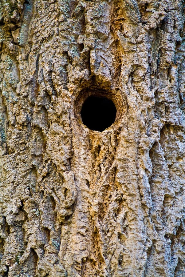 Hollow Picture. Image: 6574909