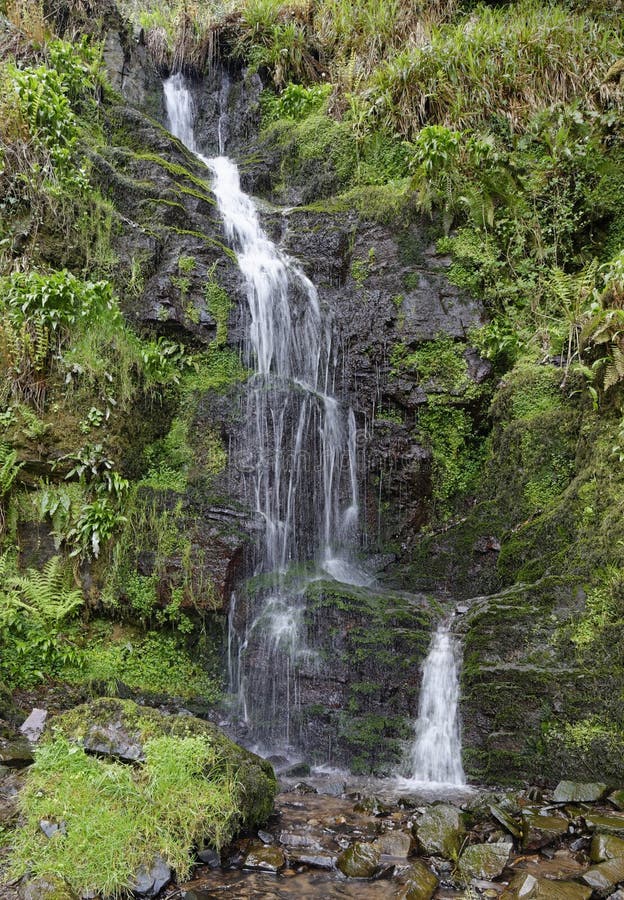 Hollow Brook Waterfall stock photo. Image of moss, west - 170521064