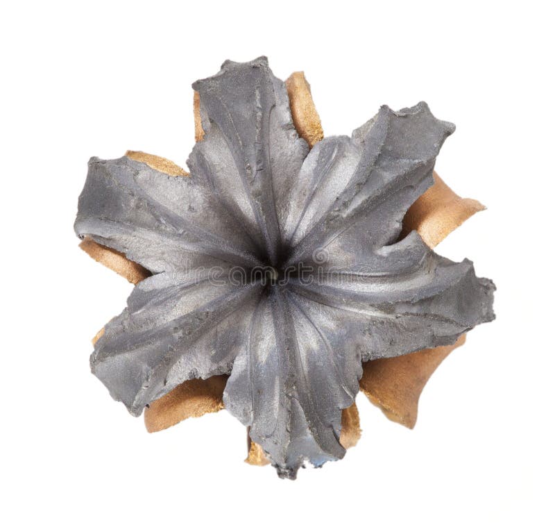 Hollow point stock photo. Image of point, projectile - 73314164