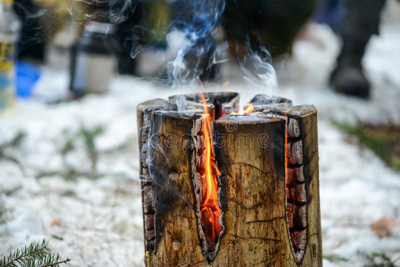 Hollow Tree Stump on Fire with Smoke Coming Out Stock Photo - Image of ...