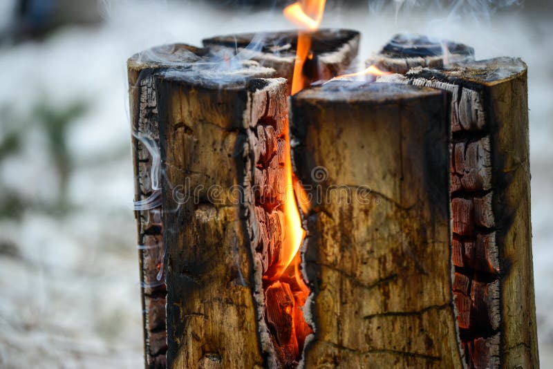 Hollow Tree Stump on Fire with Smoke Coming Out Stock Image - Image of ...