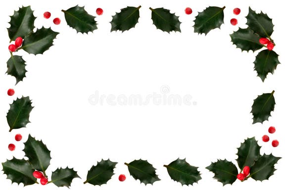 Holly stock photo. Image of borders, holidays, celebration - 1526250