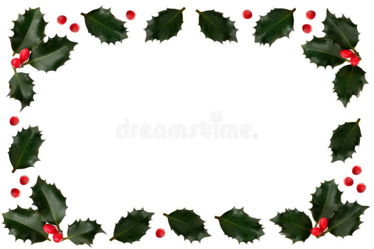 Holly stock photo. Image of borders, holidays, celebration - 1526250