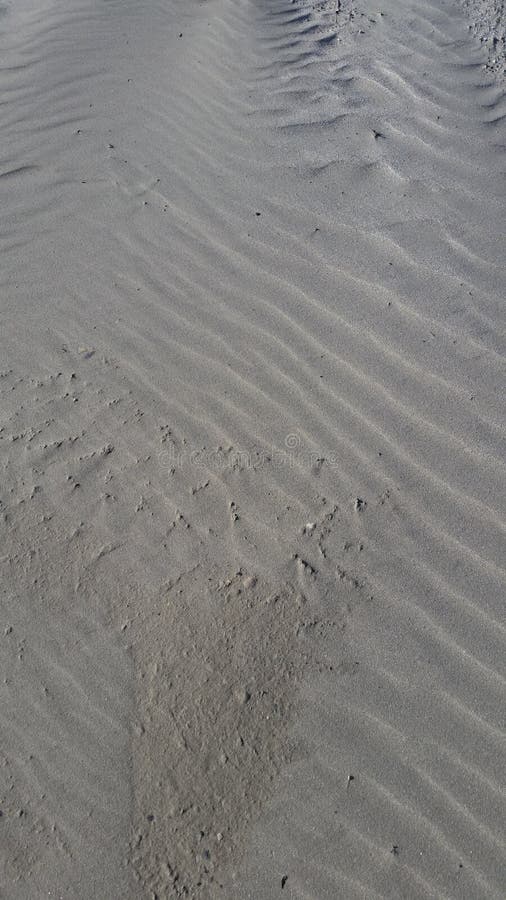 Holly beach stock image. Image of shimmering, wrinkles - 59047797