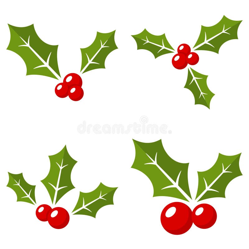 Holly Berry Isolated on White Background Stock Vector - Illustration of ...