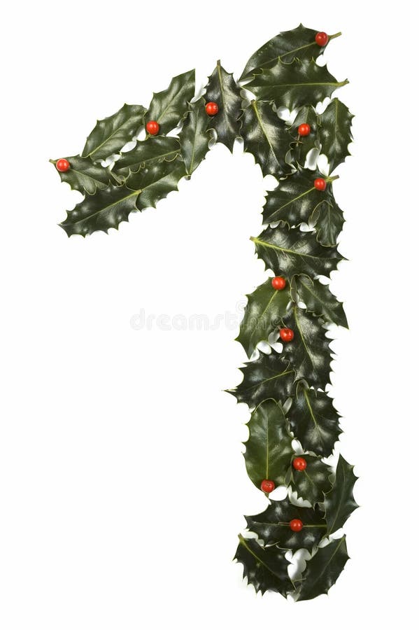 Holly With Berry Number Five Stock Image - Image of party, leaf: 3742295
