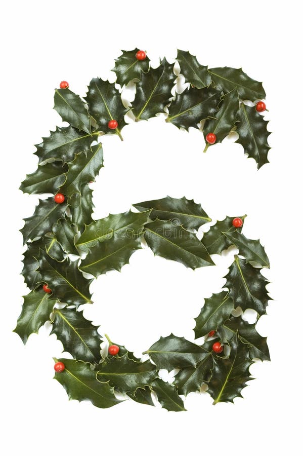 Holly with Berry Number Six Stock Image - Image of party, holly: 3742297